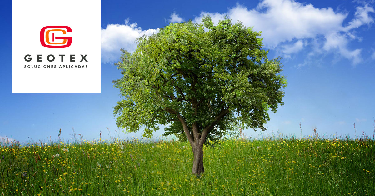 Principios | Geotex International Corporation